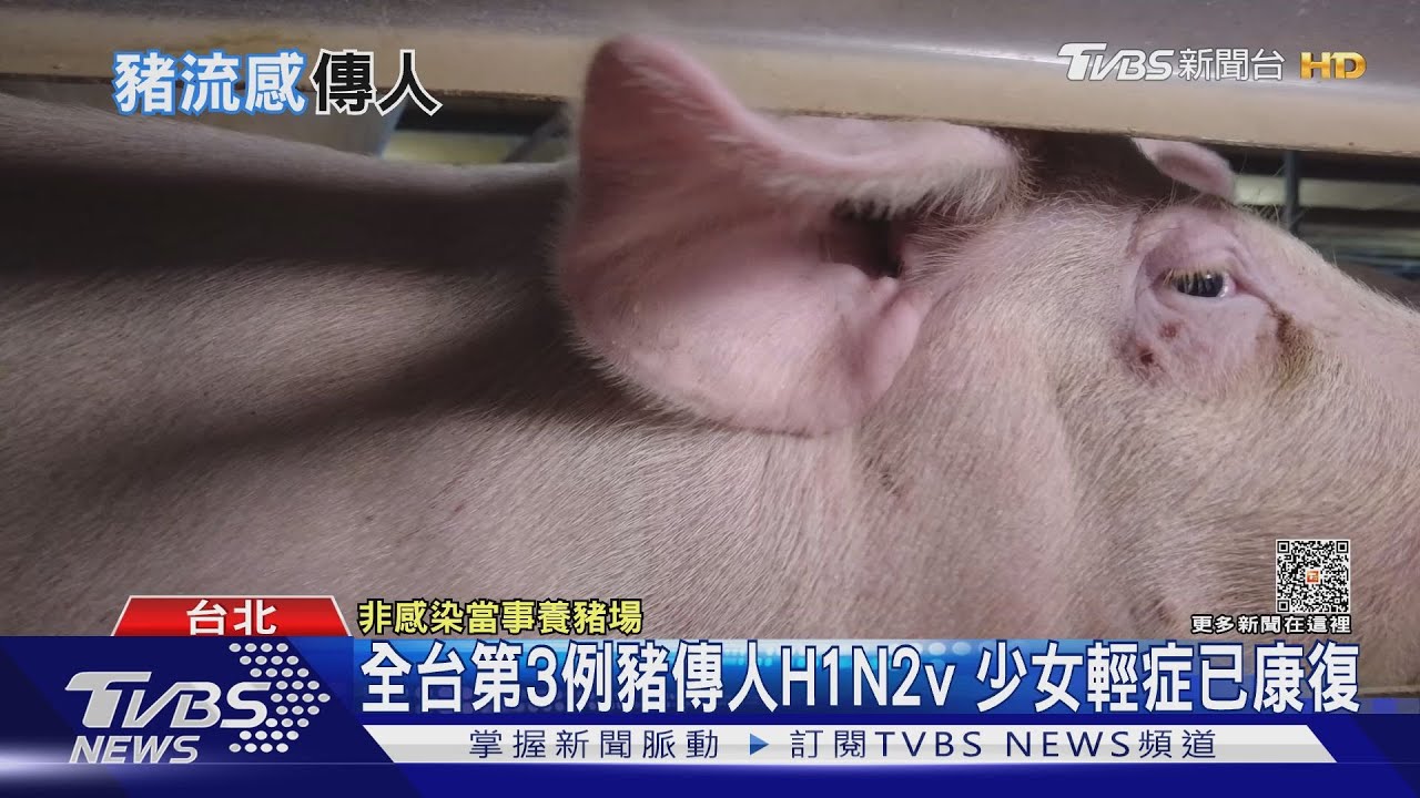 全台第3例豬傳人H1N2v 少女輕症已康復｜TVBS新聞 @TVBSNEWS01 - YouTube