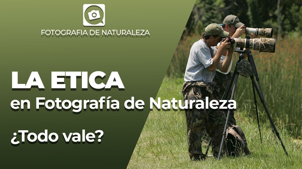 La ETICA en fotografía de naturaleza - ¿VALE TODO? - YouTube