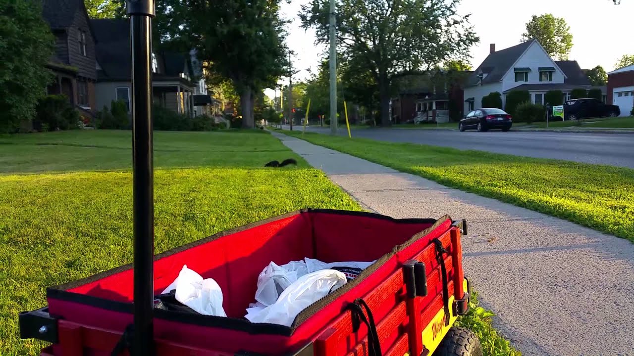 June.27.2015 Squirrel in my Wagon - YouTube