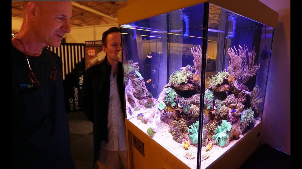 Reef Tank Walkthrough With Julian Sprung - YouTube
