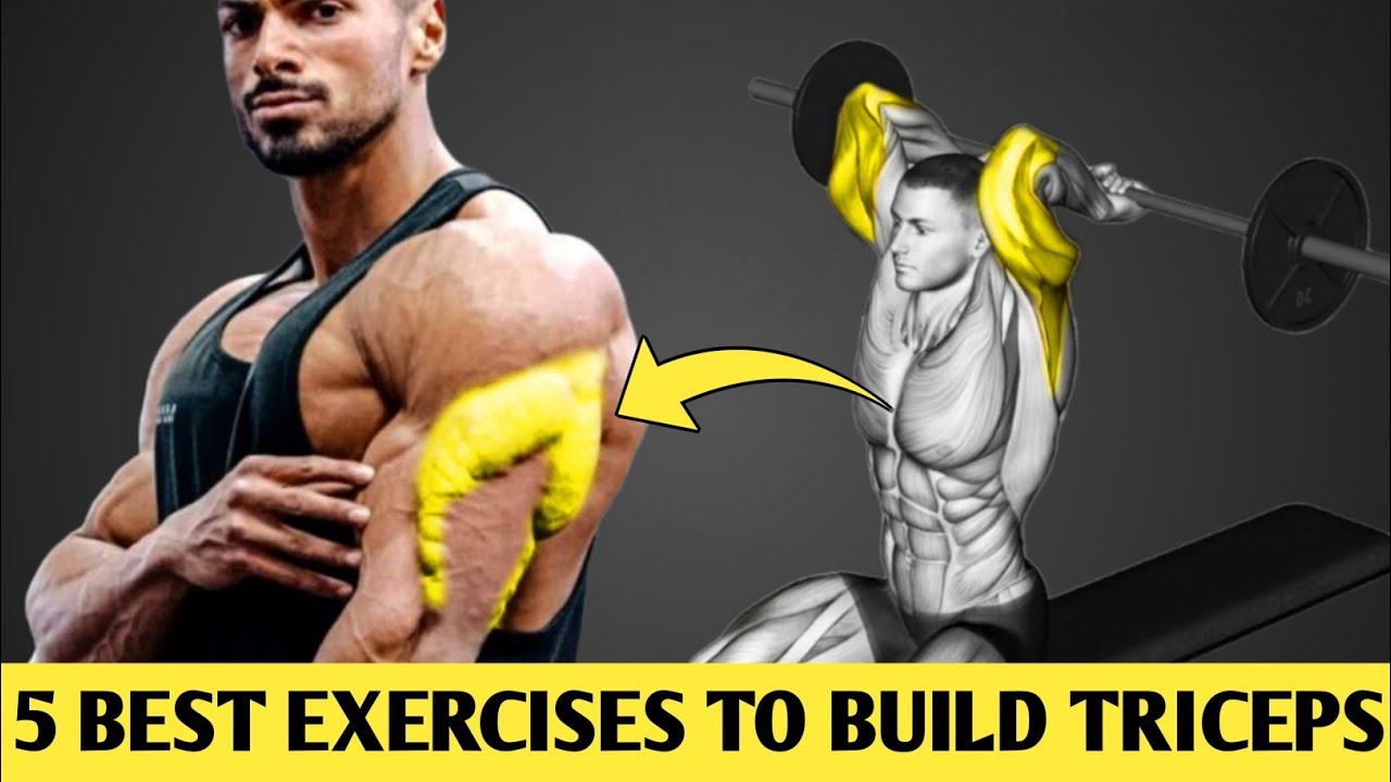 5 Best Exercises To Build Triceps Muscle Triceps Workout - go go gym go ...