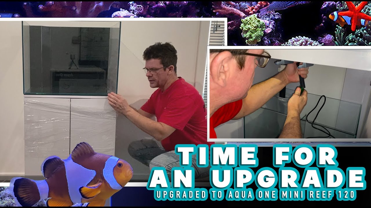 Aqua one mini reef 120 setup part 1 - YouTube