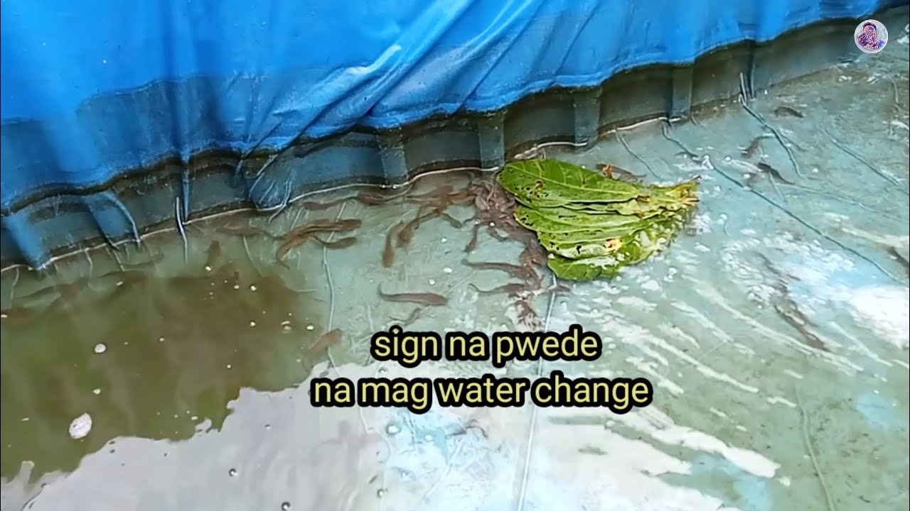sign na pwede kna mag water change - YouTube