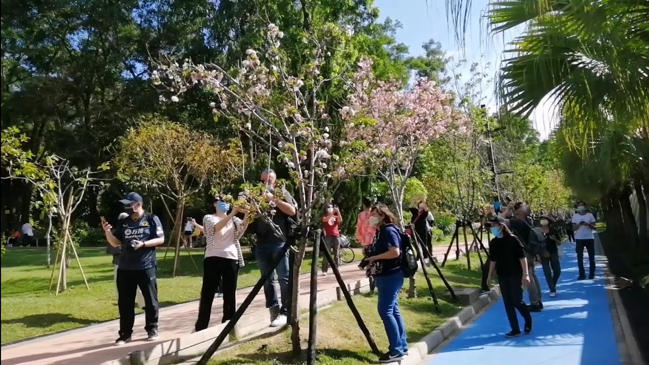 ANO KAYA MERON DITO BAKIT MARAMING TAO? - YouTube