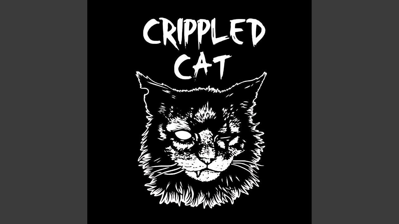 Crippled cat - YouTube
