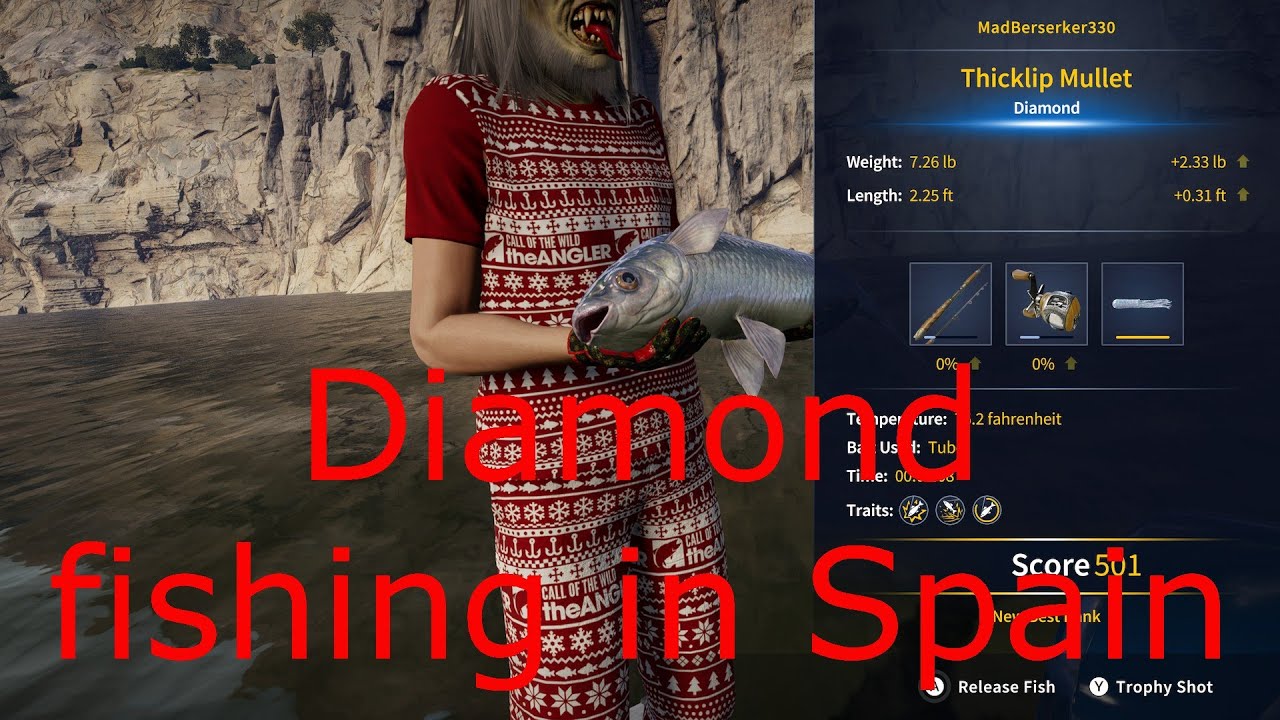 🔴Diamond fishing in Spain - COTW The Angler🔴 - YouTube
