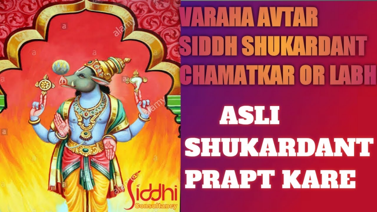 शूकर दंत वशीकरण टोटके विधि / उपाय ||ASLI SHUKARDANT OR SIDDHI DHARAN ...