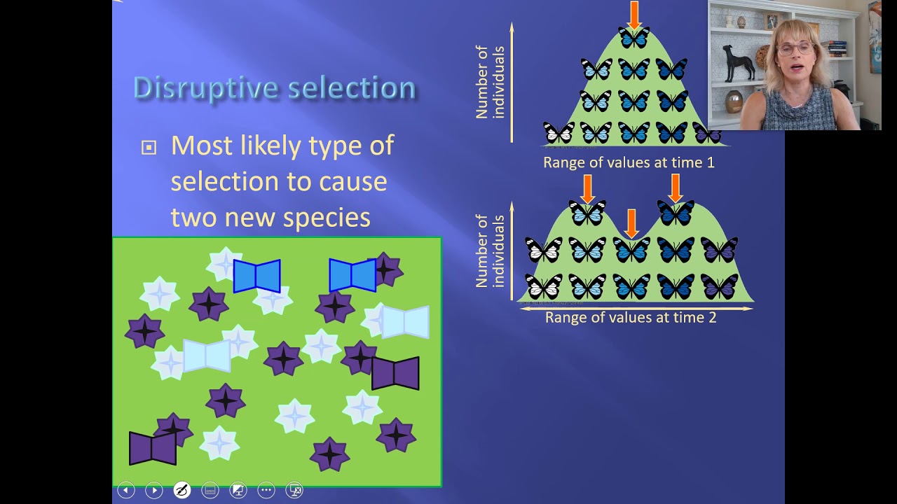 Evolution lecture 5 (9 minutes) - YouTube