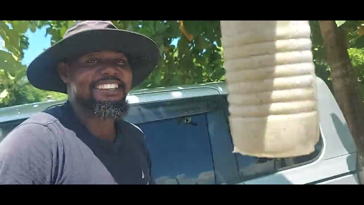 Man Eating Blue draws# in jamaica 🇯🇲 - YouTube