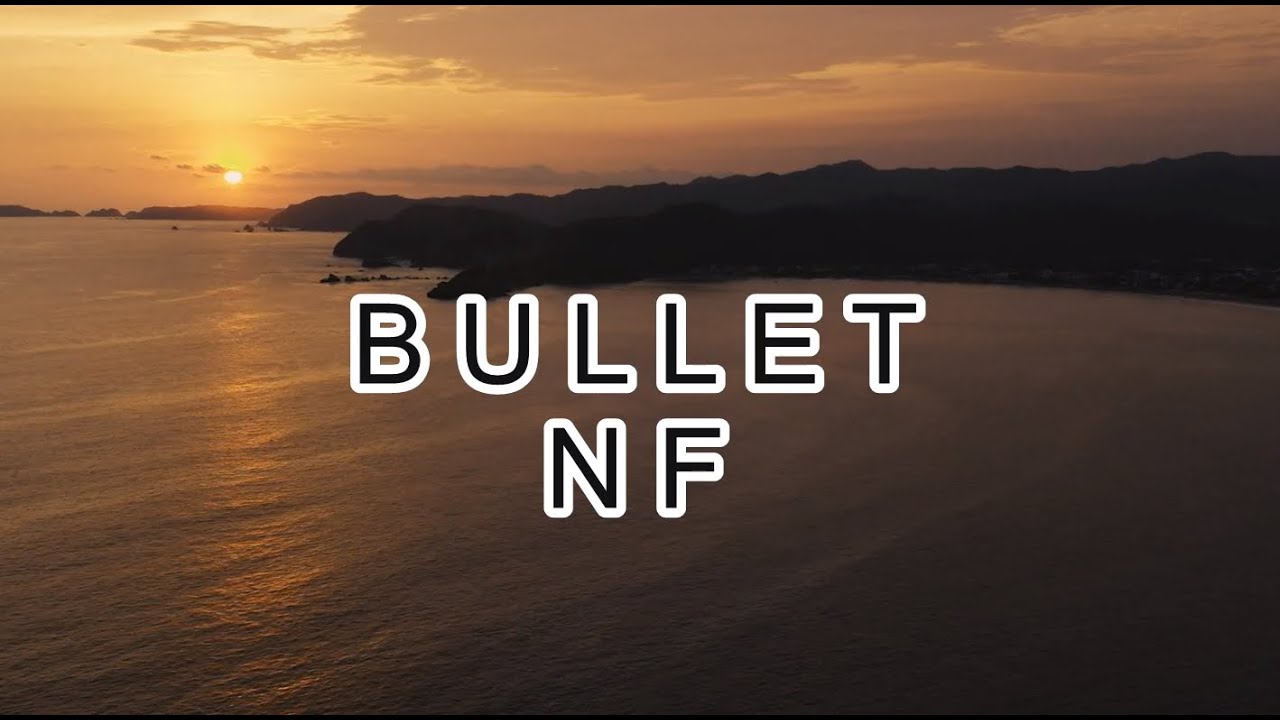 NF Bullet Lyrics - YouTube