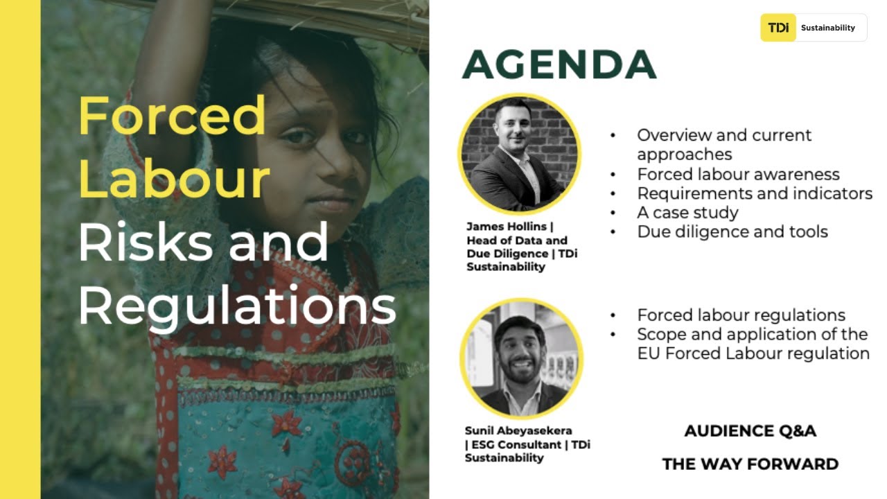 Forced Labour: Risks and Regulations - YouTube