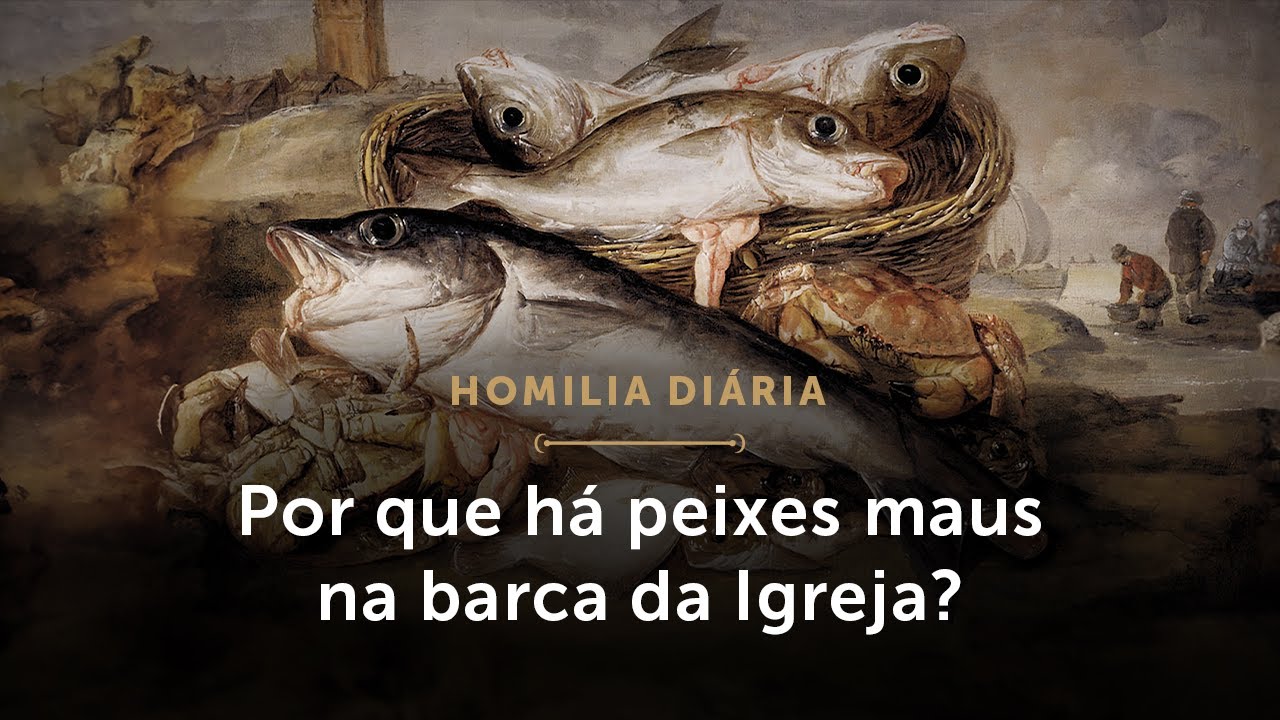 Homilia Diária | Por que Deus permite os peixes podres? (Quinta-feira ...