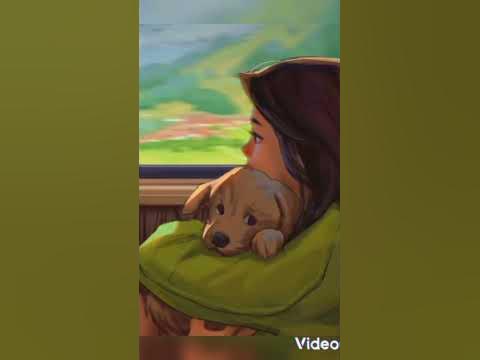 котики і собачки - YouTube