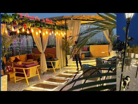 Dwarka rooftop cafe: SYD Cafe Affordable cafe in dwarka || Best cafe in ...