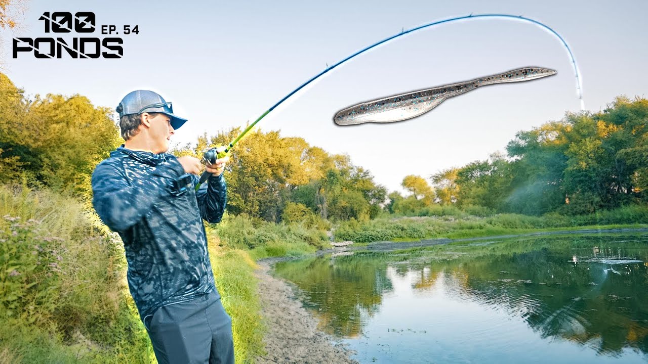 The Pond Lure That NEVER Let's Me Down! (100 Ponds Ep. 54) - YouTube