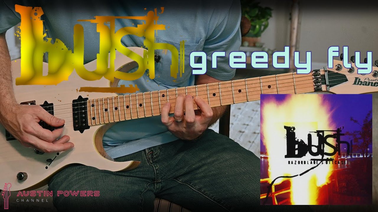Bush - Greedy Fly | Guitar Cover - YouTube