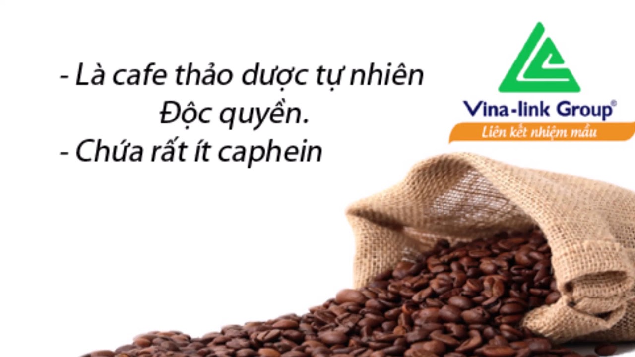 Tất Phú - Cafe link (thảo dược luôn đêm đến cho mọi nhà) - Vinalink ...