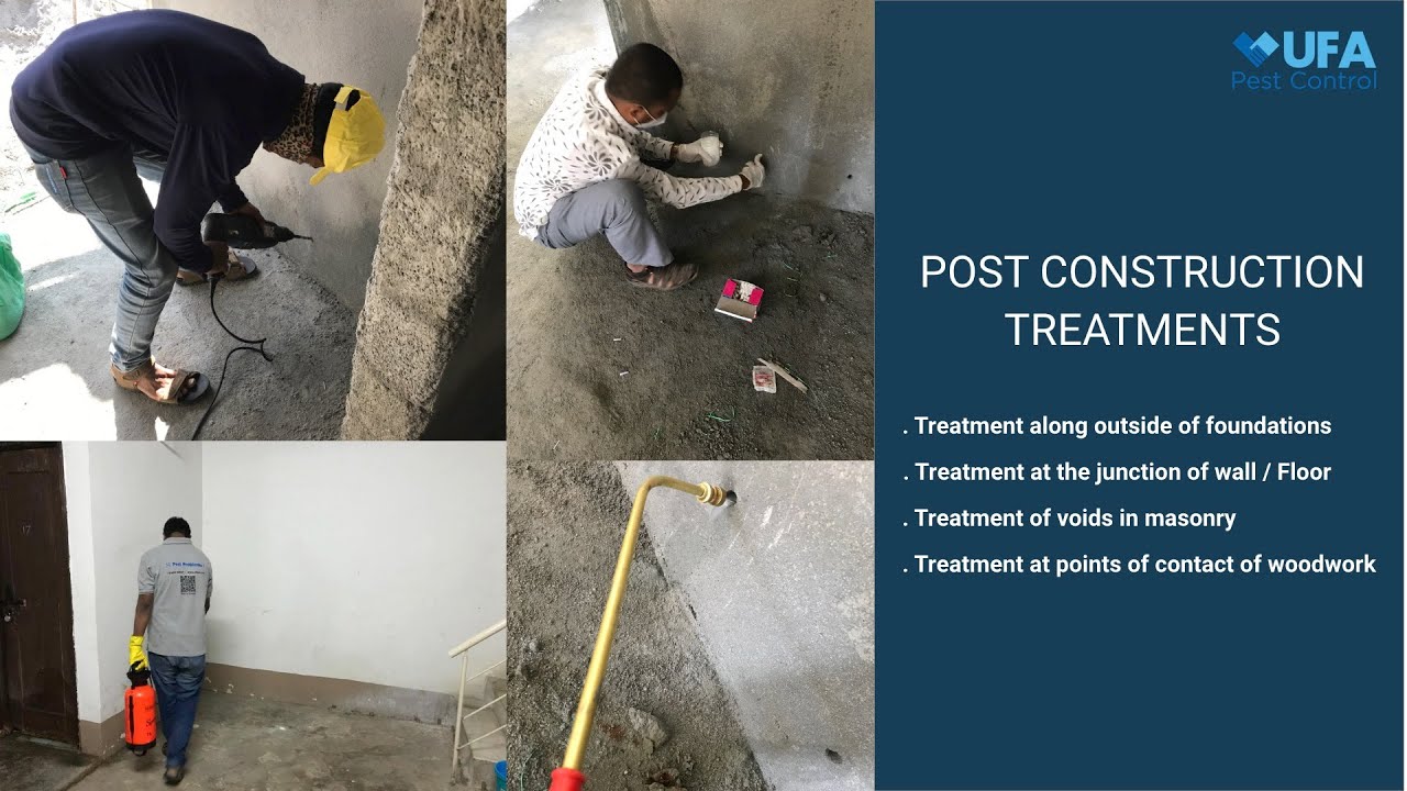 Termite Treatment Without Drilling at Zane Hodge blog