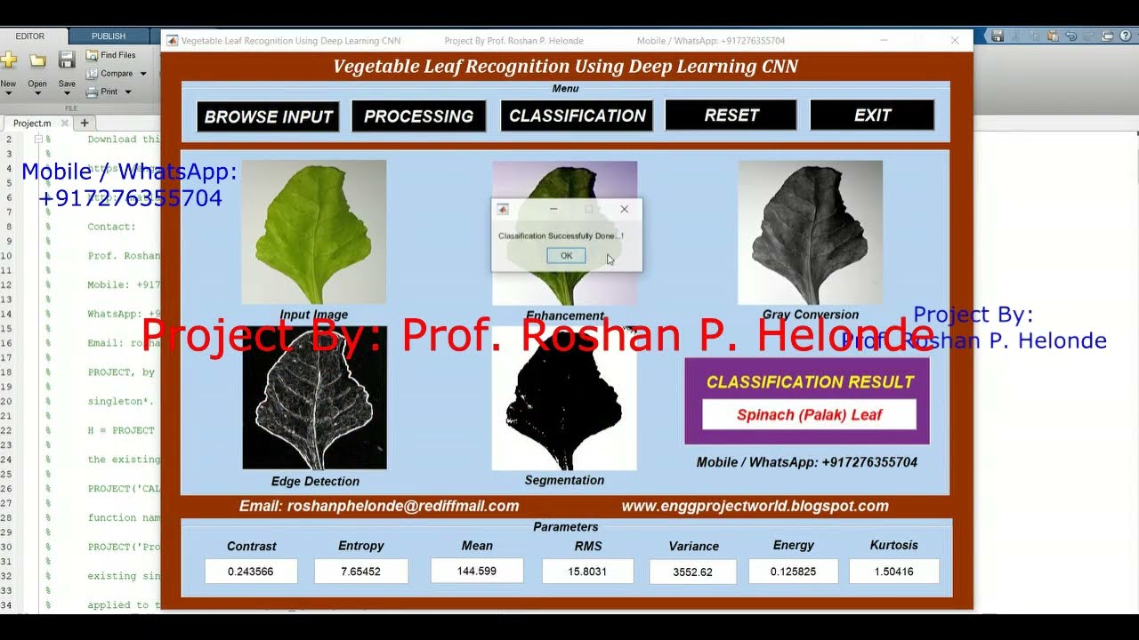 Vegetable Leaf Recognition Using Deep Learning Cnn Matlab Project With Source Code Youtube