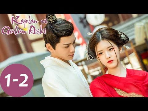 Kaplan ve Gül'ün Aşkı | 1.-2.Bölüm | 传闻中的陈芊芊 | The Romance of Tiger and Rose | Zhao Lusi, Ding Yuxi