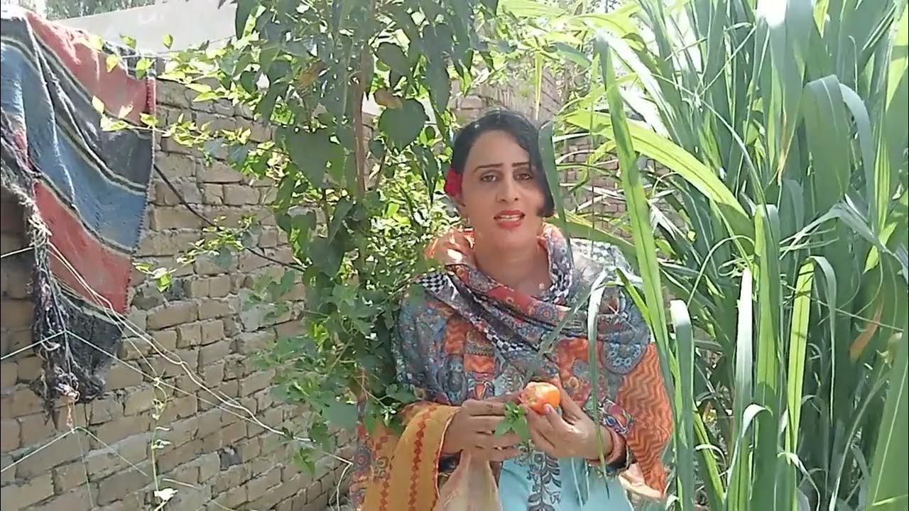 کتنی پیاری جگہ ہے یہ بہت ہی پیاری ویڈیو Youtube