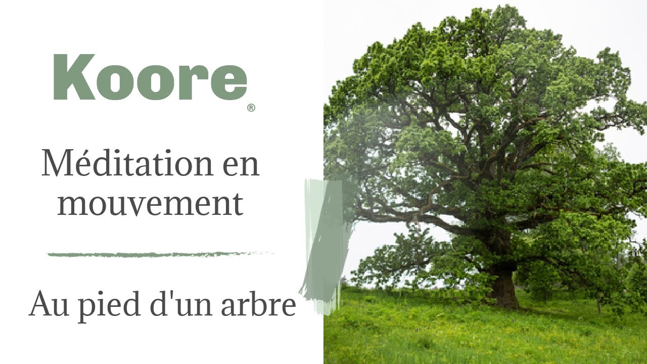 MEDITATION / RELAXATION : Au pied d'un arbre - YouTube