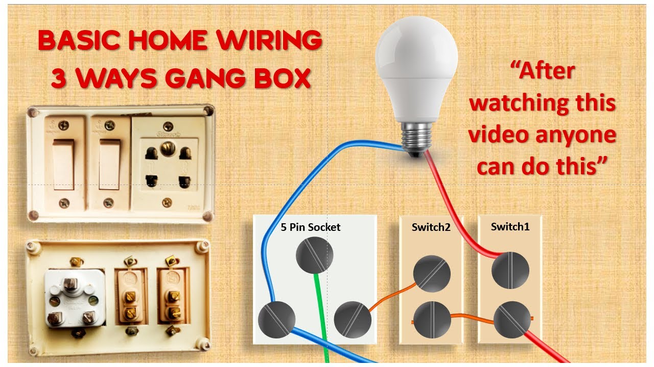 Electric Wiring | How to do wiring for 3 ways gang box | Wiring two ...