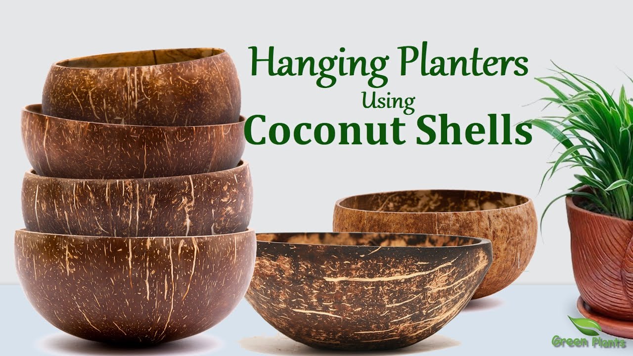 Unique Hanging Planter Ideas Using Waste Material | Coconut Shell ...