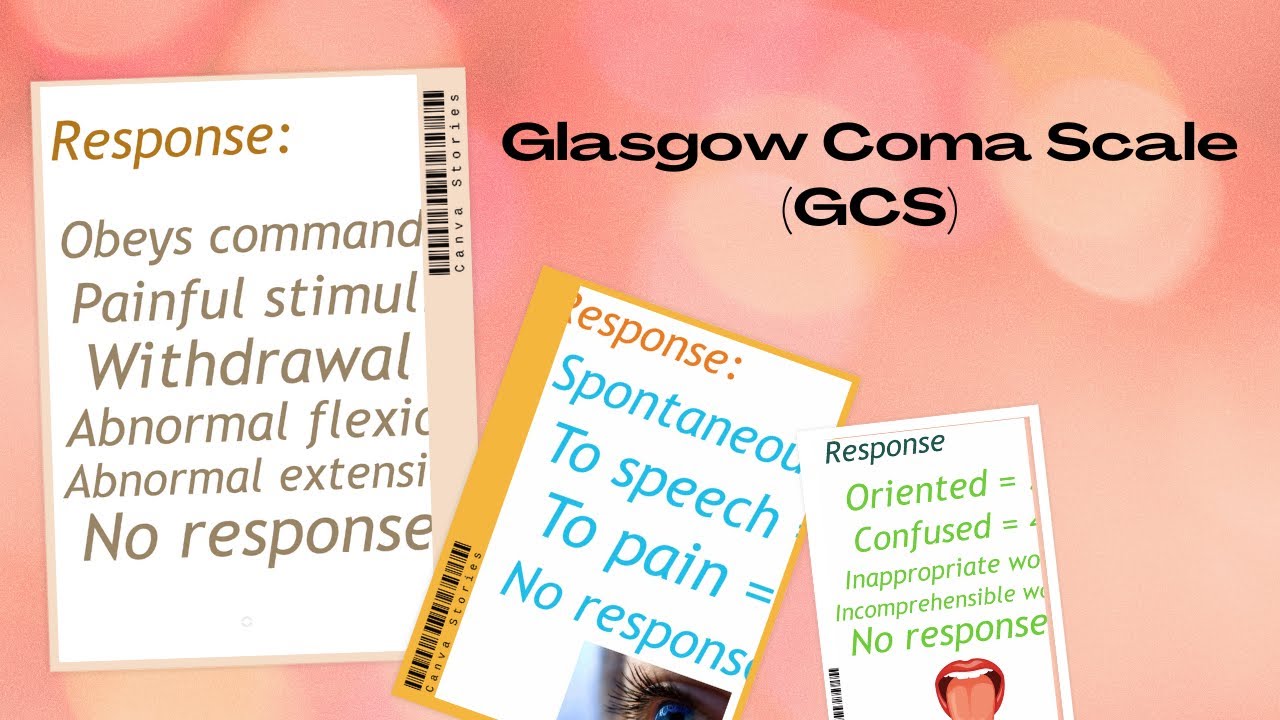 Glasgow Coma Scale (GCS)- scores,how to access,full details |Easy and ...