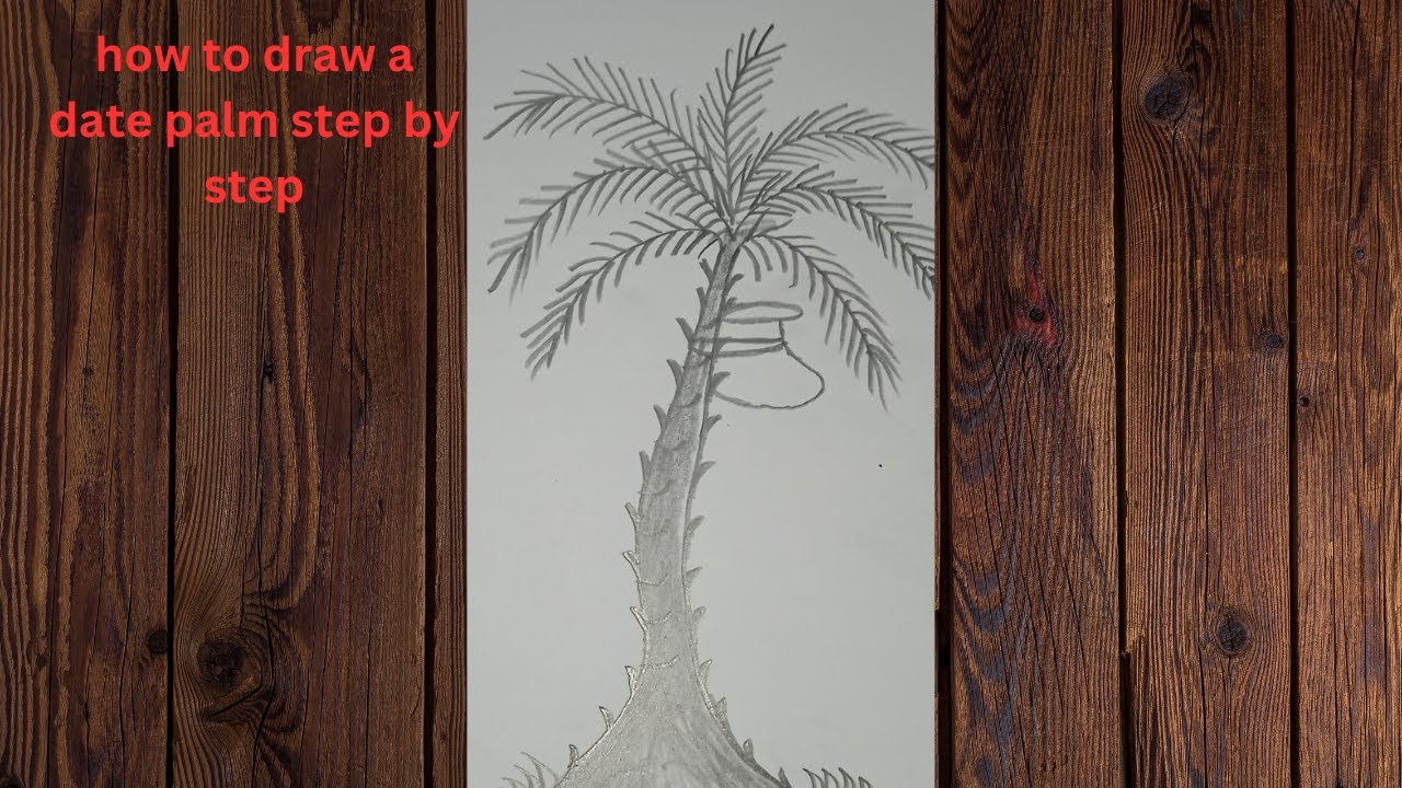 how to draw a date palm step by step (khejurer gach akar sohoj upay ...