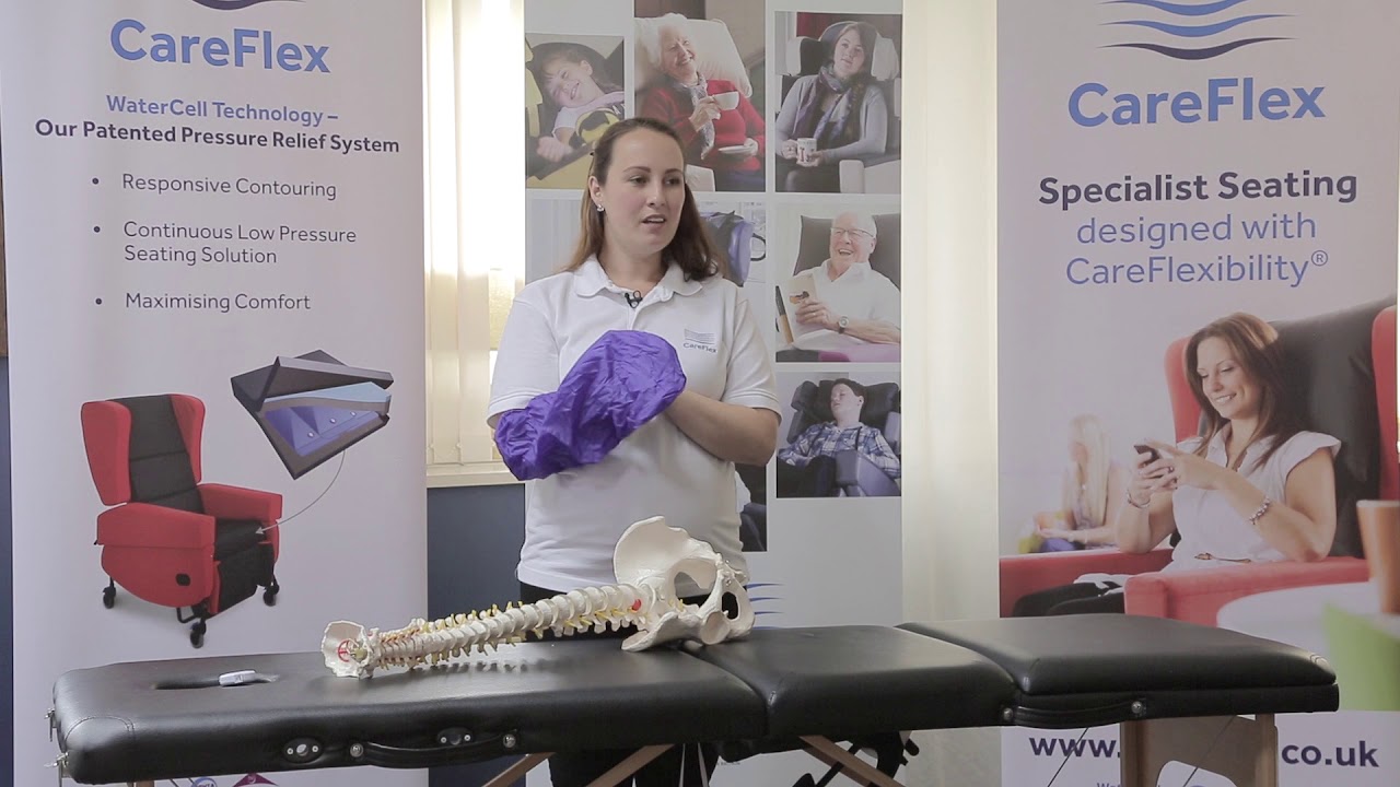 Part Six - Bony Landmarks (Ischial Tuberosities and Weight Distribution ...