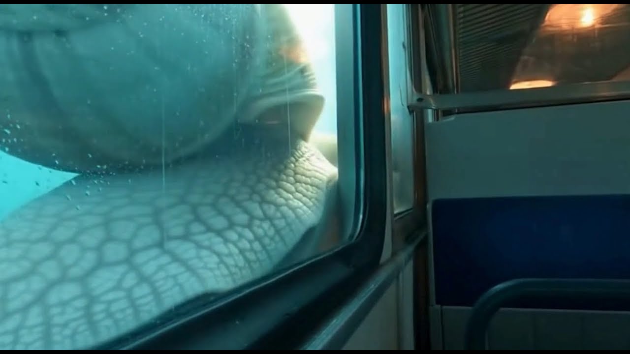 I rode the Abyss Ocean Train, a rare deep-sea sleeper train in Japan ...
