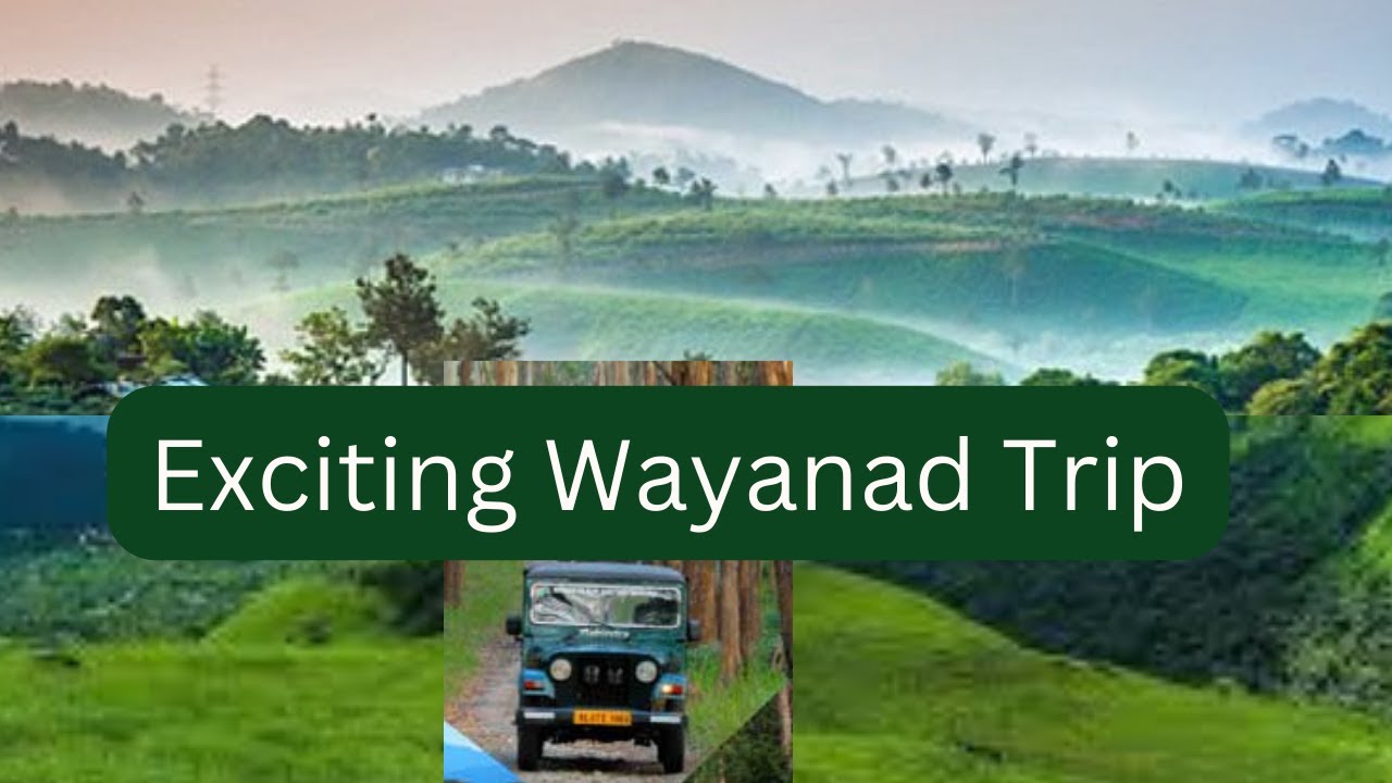 An Exciting summer in Wayanad #pazhassiraja #kerala #trip #travelkerala ...