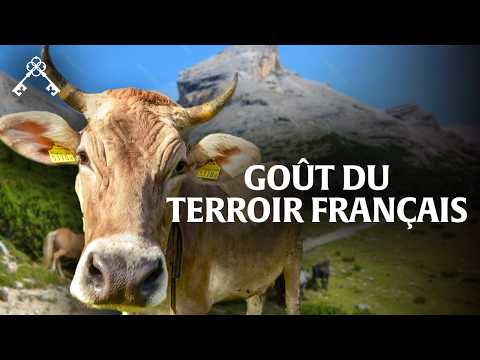 Aubrac: Seçkin mutfağın ve yerel ürünlerin sırları | Miras Hazineleri