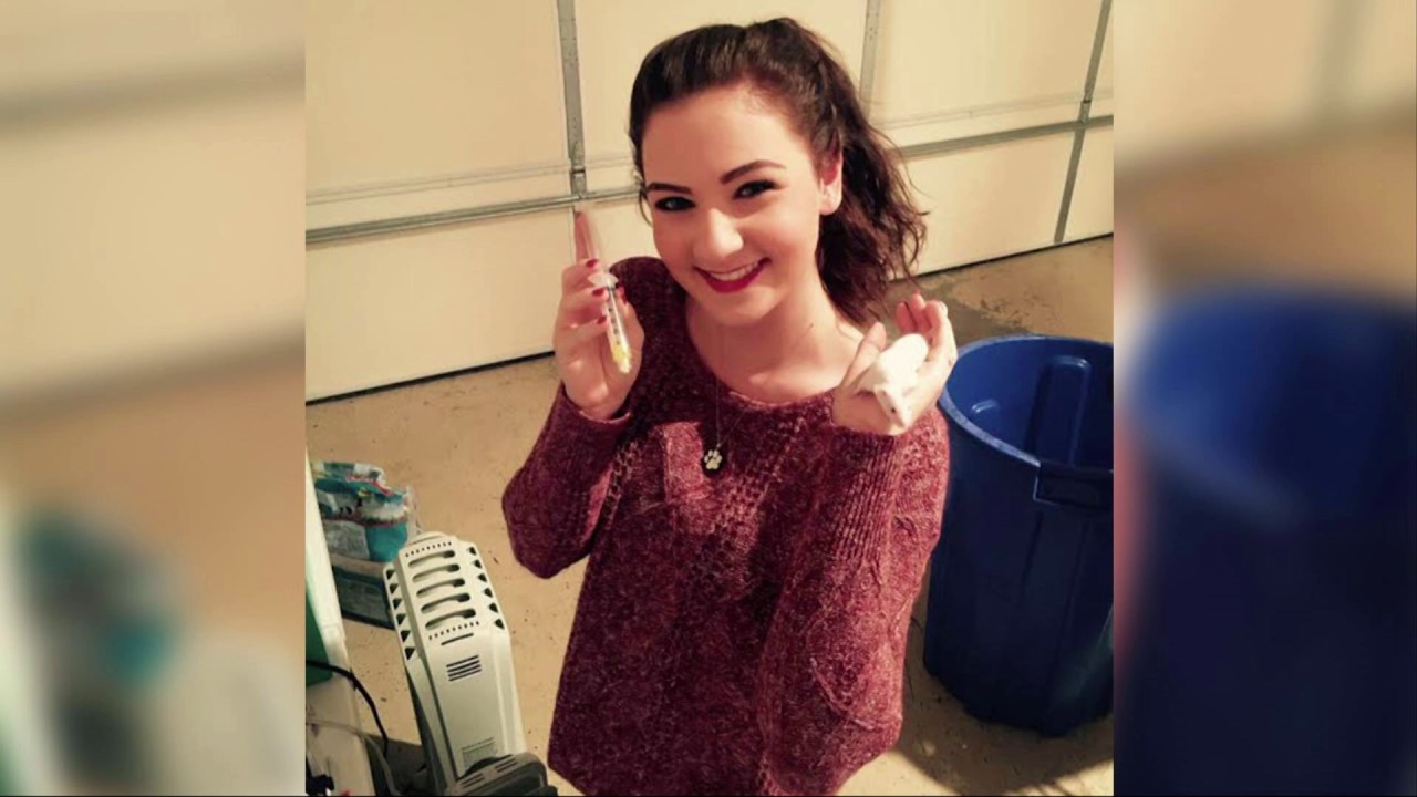 Northeastern Morning News - Emily Sechrist - 2016-12-15 - YouTube