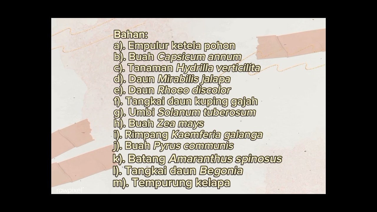 Sel Tumbuhan| Botani Umum (BOTUM) - YouTube