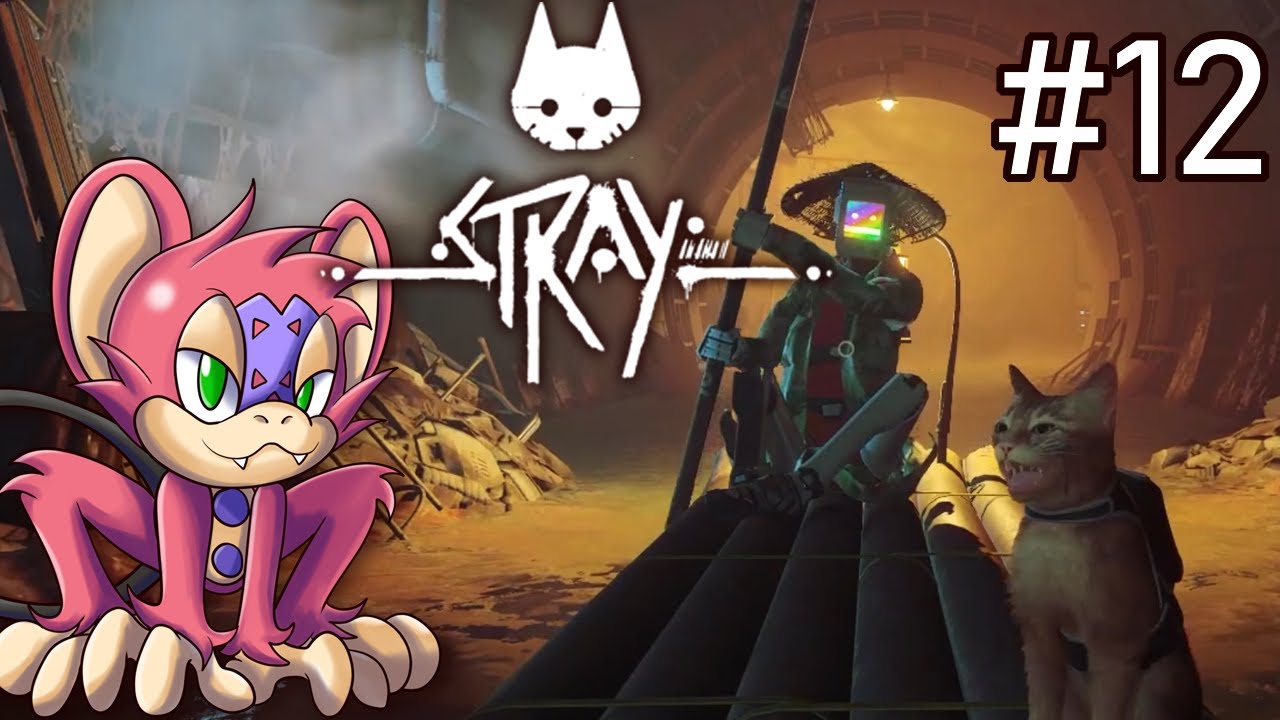 Directionally Challenged - Stray #12 - YouTube