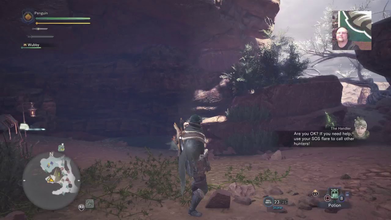Wicked Turtle Gaming Plays: Monster Hunter World - YouTube