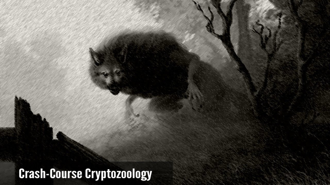 The Truth Of The First Dogman Report - YouTube