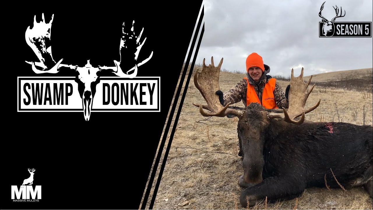 Swamp Donkey | Big Bull Moose | Season 5 - YouTube
