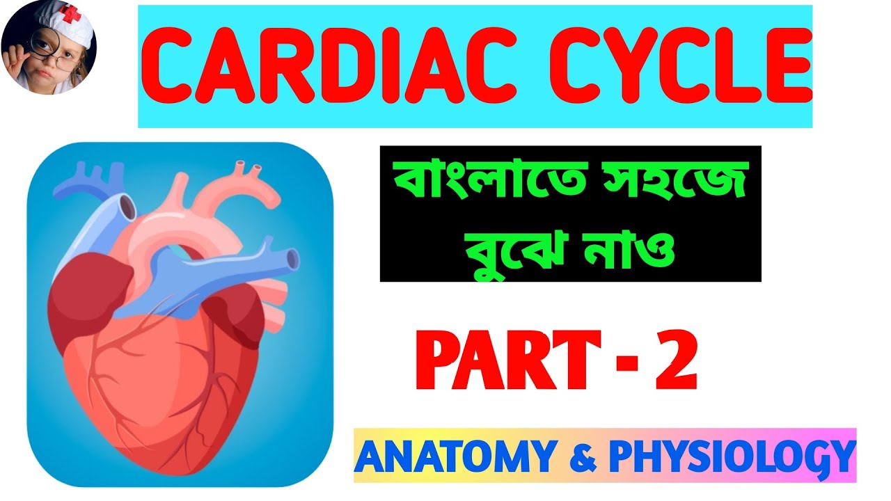 CARDIAC CYCLE | CARDIAC CYCLE IN BENGALI | @SOHOJENURSING PART-2 | # ...
