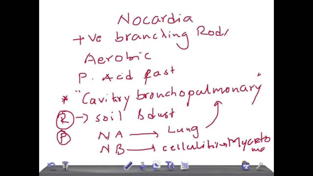Medical Video Lecture: NOCARDIA, Microbiology - YouTube