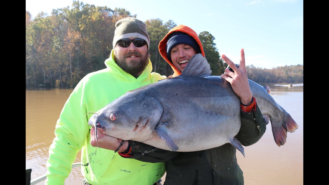 70lb MONSTER catfish with Navy Veterans Will Turner and Mike McCormack ...