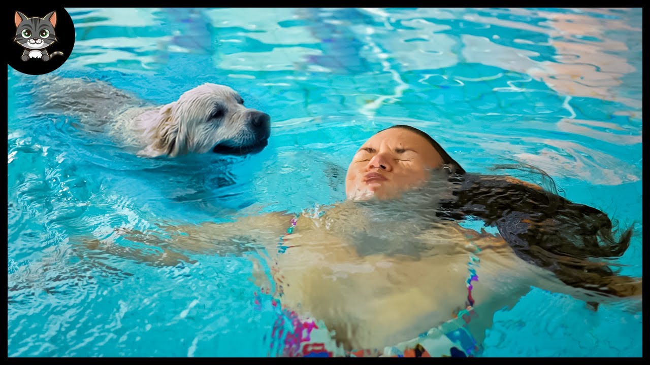 30 Hero Animals That Saved Human Lives - YouTube