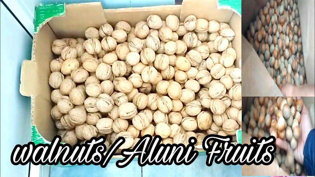 Easy way to open walnuts shell l walnut Aluni method l how to open ...