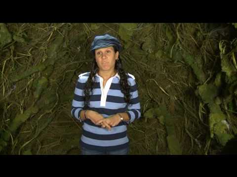 Hola!!!! Daniela desde Queenstown - YouTube