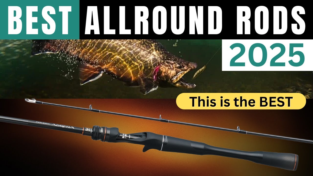 5 Best ALLROUND FISHING RODS for 2025 | Reviewed - YouTube