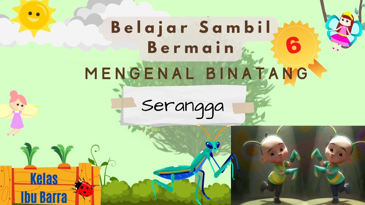 Belajar Sambil Bermain - Belajar Mengenal Binatang Serangga 1 - YouTube
