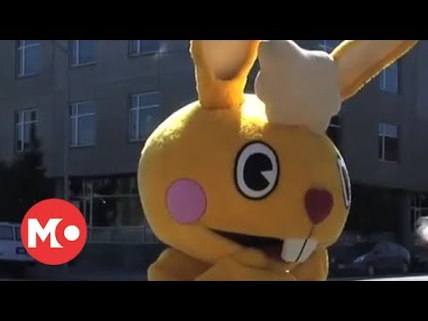 Happy Tree Friends - Get Slap Happy