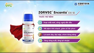 ZORVEC® Encantia® 330SE | Crop Protection | Corteva Agriscience